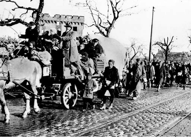 „Chudák Suse, kde teď může být?“ V Brně před 75 lety vyhnali nevinné ...