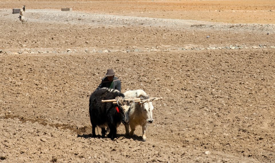 Severní Čína trpí po rekordních vedrech suchem, pitná voda chybí statisícům