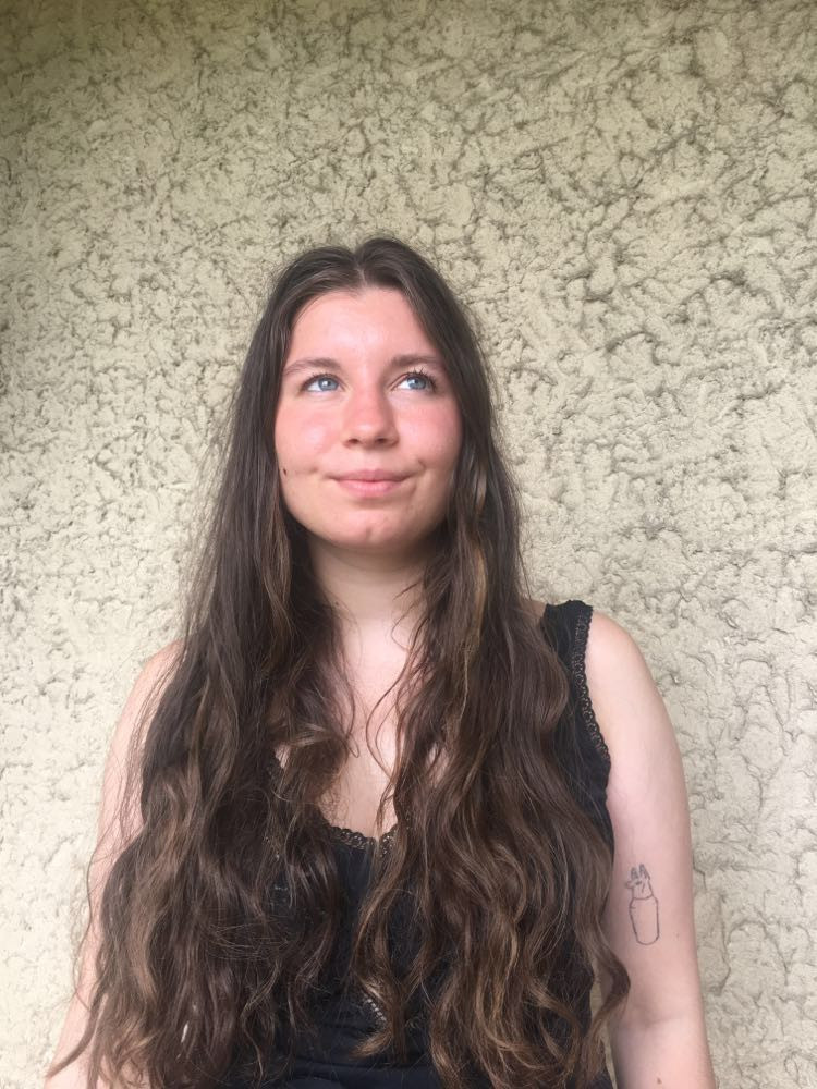 Anna Šípová – Deník N