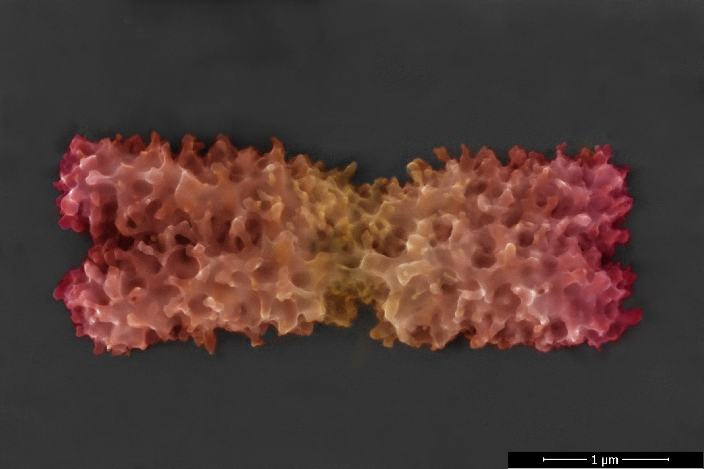 Deník N - Nezávislý český deník