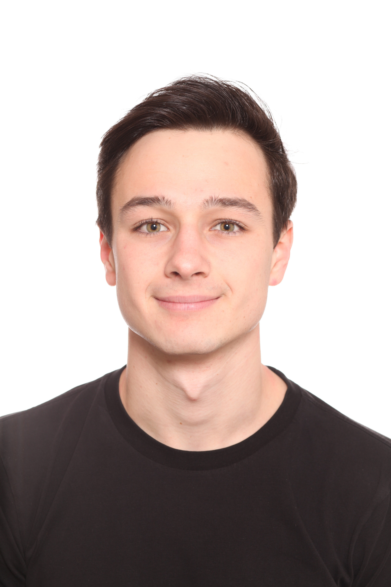 Albert Frank – Deník N